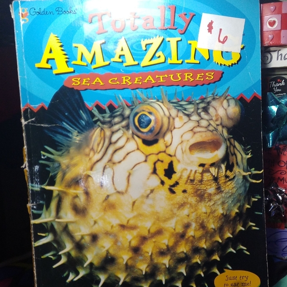 Other | Free Totally Amazing Sea Creatures Kids Book | Poshmark